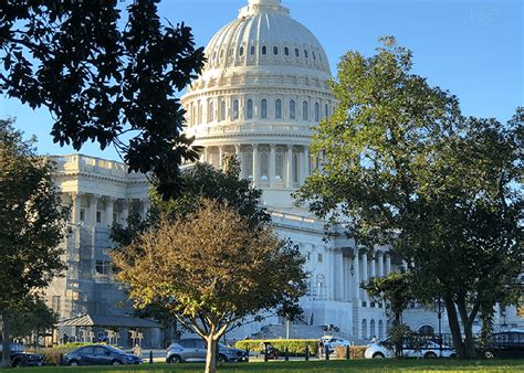 What Area Code Is 202 Get A 202 Phone Number In Washington Dc Ringover