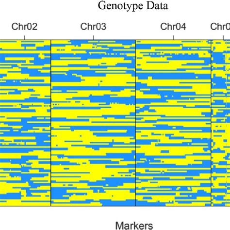 Recombination Bin Map Of Ril Population Recombination Bin Map Of Ril Download Scientific