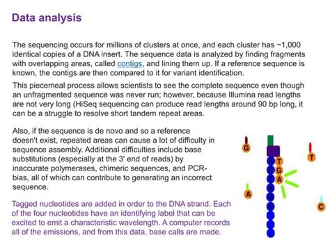 Dna Sequencing Techcnology And Methodology Ppt