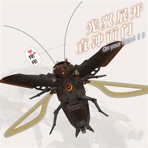 Guangdong Cockroach 《超大蠊 大蟑螂》 Hobbyconnect