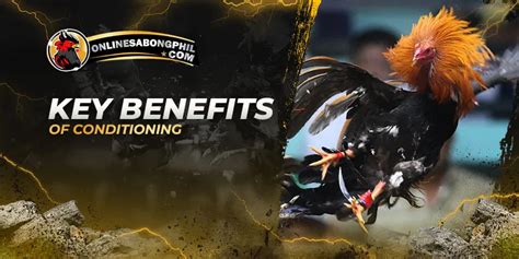 Different Types Of Gamefowl Conditioning Methods