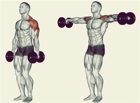 Плечи в тренажерном зале