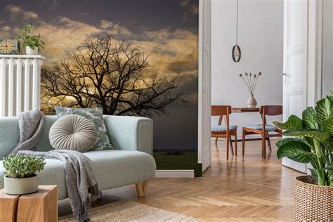 Solitary Tree At Sunset Mural Wallpaper Serene Landscape In Warm Tones