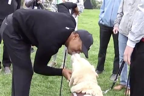 Watch Tiger Woods Kisses Guide Dog On The Mouth At Genesis Open