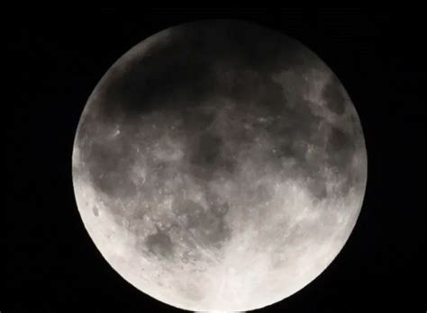 Fenomen Incredibil N Aceast S Pt M N Luna Florilor Va Atinge Punctul Maxim Pe Mai