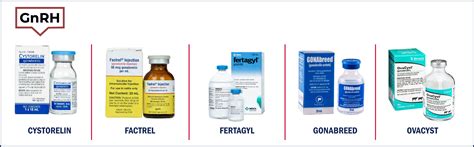 Administering The Correct Estrus Synch Drug On The Correct Day Of Your Protocol Abs Global Us