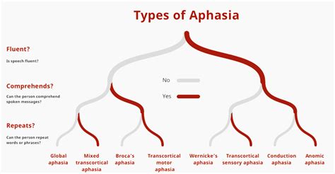 Aphasia Types Symptoms And Causes
