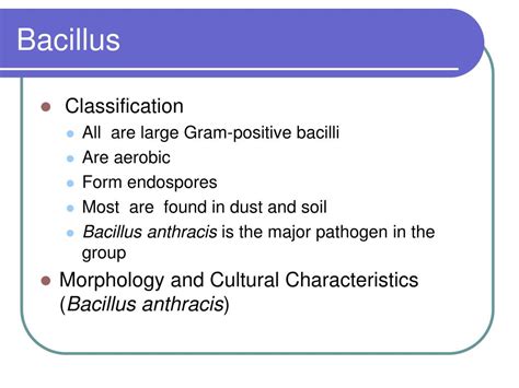 Ppt Bacillus Powerpoint Presentation Free Download Id6598986