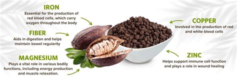 Healthy Chocolate Cravings Delicious Cacao Nibs Recipes Sunfood Superfoods