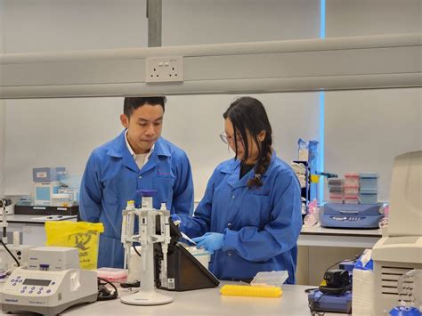 Innovation Made Real Seizing Growth Opportunities In The Field Of