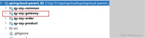 springcloud下的nacos集群与gateway网关 nacos注册中心与gateway csdn博客