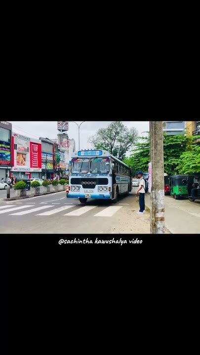 එකම පවුලේ දේන්නේක් එකටම කොළඹ පැත්තට 🙉 ️🫂 අනුරාධපුර 15කොළඹ ත්‍රිකුණාමලය 49 කොළඹ Like Video