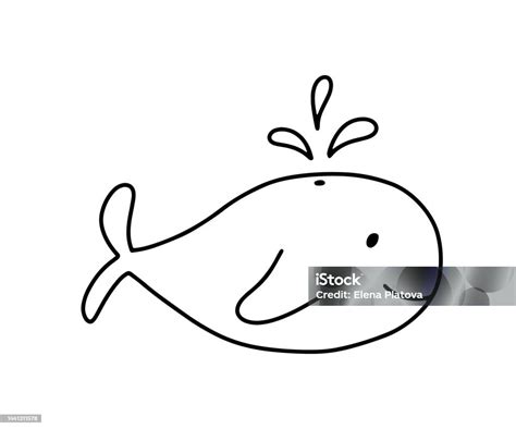 흰색 배경에 격리된 귀여운 낙서 고래 색칠 공부를 위한 벡터 개요 해양 그림 고래에 대한 스톡 벡터 아트 및 기타 이미지 고래 귀여운 그리기 Istock