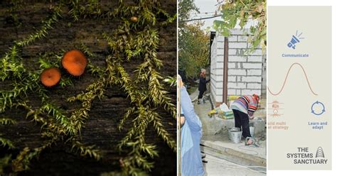 List Systems Thinking Practice Curated By Birtedoh Medium