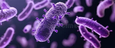 Microscopical Examination Of Multiple Pathogenic Bacteria Strains Under Advanced Laboratory