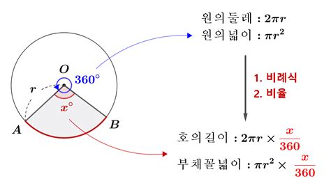 원과 부채꼴 호의 길이와 넓이 원주율 이용 두 값 사이 관계 유도