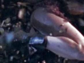 Warlock The Armageddon Nude Scenes Aznude