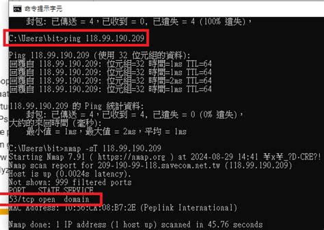 A Vulnerability Scan Of Peplink Devices Has Revealed That Tcp Port 53 Is Enabled General