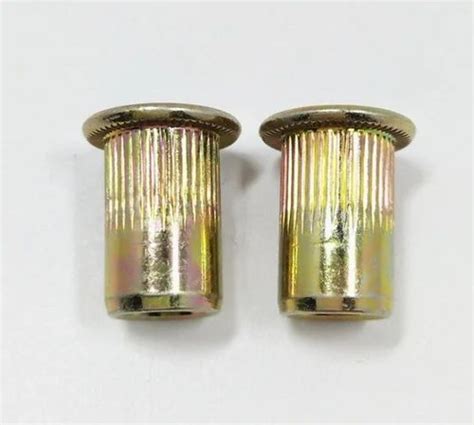 10mm Brass Rivet Nut Diameter 5 5 Mm At Rs 20 Piece In Pimpri Chinchwad Id 2853145660412