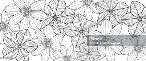 흑백 벡터 꽃 그림 장식 색칠 공부 책 표지 엽서 및 삽화에 대 한 꽃 0명에 대한 스톡 벡터 아트 및 기타 이미지 0명