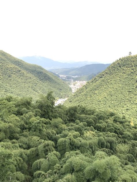 安吉县竹林湖州安吉县第4页大山谷图库