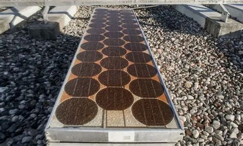 Oldest Grid Connected Photovoltaic System In Europe Is 40 Years