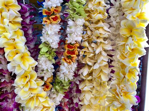 Denby Fawcett Fresh Flower Lei Are Becoming Crazy Expensive