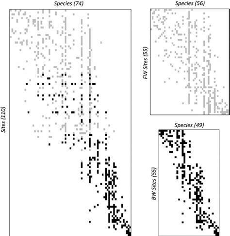 Species × Sites Incidence Matrices After Reciprocal Averaging Ordering
