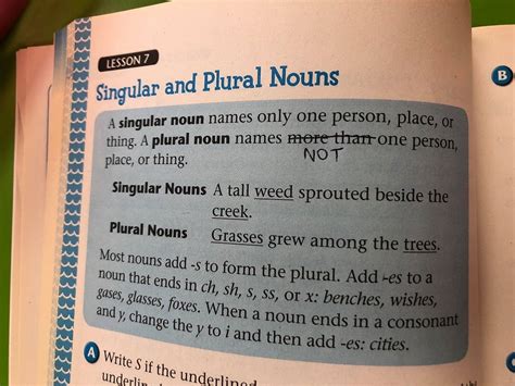 Lies Your Grammar Teacher Told You Singular And Plural Linguistics Girl