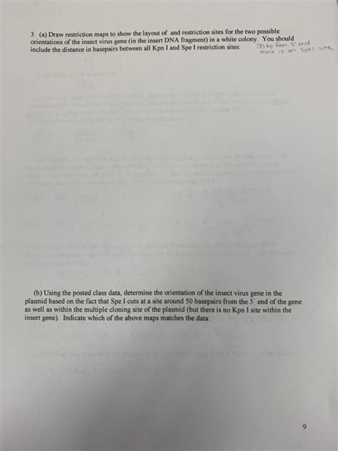 3 A Draw Restriction Maps To Show The Layout Of
