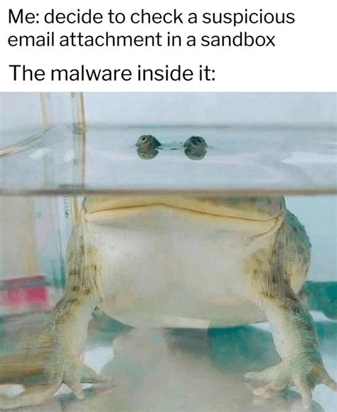 Expose Malicious Attachments And Links With The Anyrun Sandbox Ranyrun