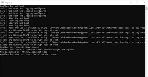 Overriding Appsettingsjson With Environment Variable Causes Duplicated