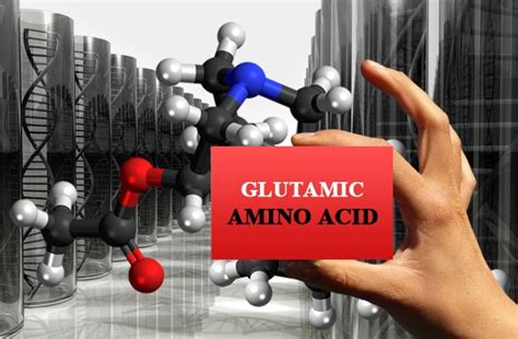 Glutamic Amino Acid Benefits