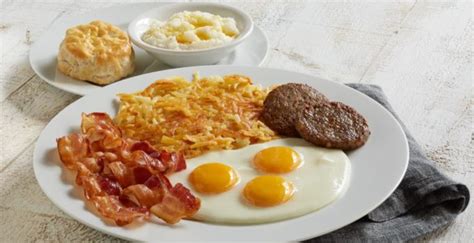 Өглөөний цайны ач холбогдол Discovery Mongolia