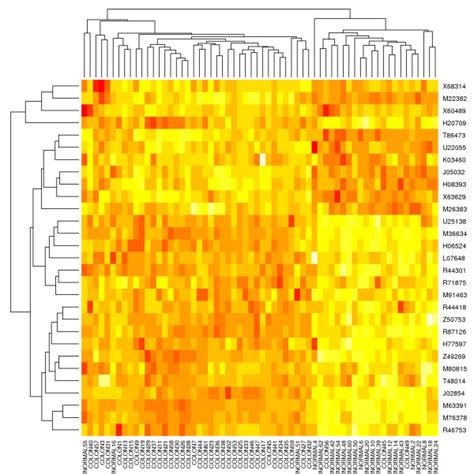 clustering dendrogram of colon cancer data first iteration