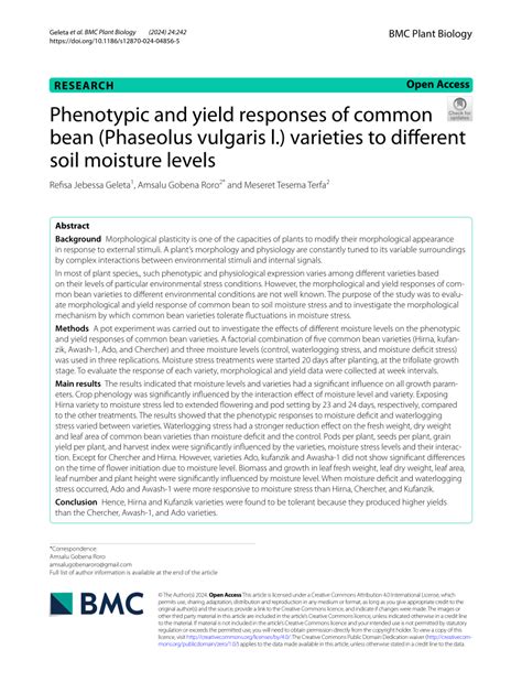 Pdf Phenotypic And Yield Responses Of Common Bean Phaseolus Vulgaris L Varieties To