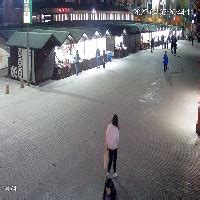 Frigate Object Detection Object Detection Dataset And Pre Trained Model By HomeCameras