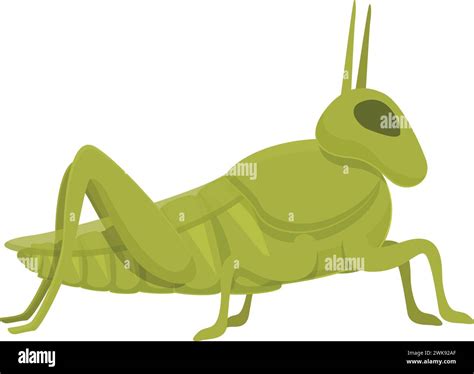 Color Grasshopper Icon Cartoon Vector Nature Insect Creature Natural Stock Vector Image And Art Color Grasshopper Icon Cartoon Vector Nature Insect Creature Natural Stock Vector Image And Art