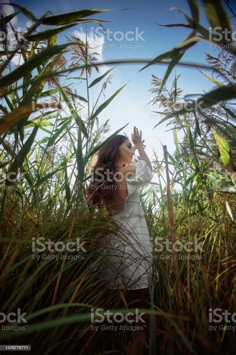 들판에서 두꺼운 키 큰 풀밭에 낭만적인 젊은 여자 자연 속에서 하얀 드레스를 입은 꿈꾸는 부드러운 여자 자연의 아름다움 삶의 즐거움 20 24세에 대한 스톡 사진 및 기타