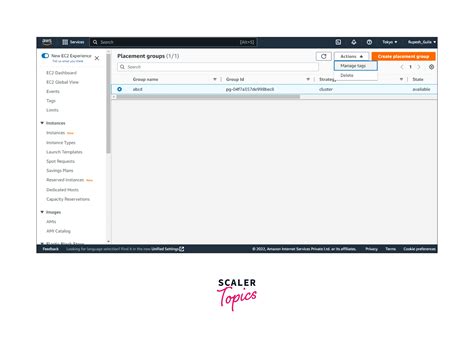 Placement Groups In Aws Scaler Topics
