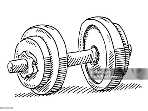 Dumbbell Weight Drawing High Res Vector Graphic Getty Images