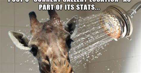 As Much As I Like Randomly Spotting My Post In One Of The User Galleries Meme On Imgur