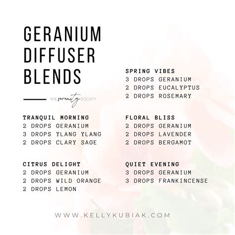 Geranium Essential Oil Diffuser Blends Essential Oil Diffuser Blends Geranium Diffuser Blend
