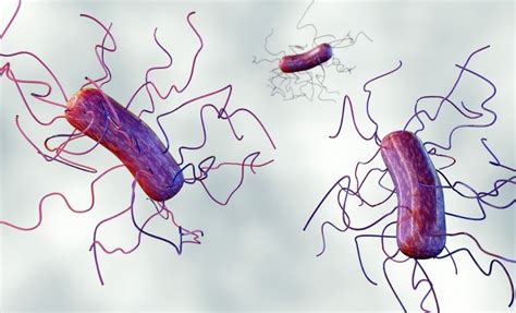 Clostridioides Difficile Infection Evidence Based Approaches For Healthcare Professionals