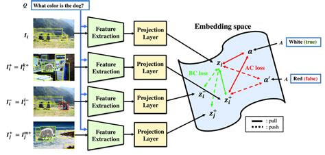 Illustration Of Batch Contrastive Bc Loss And Answer Contrastive Ac