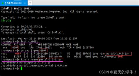 Linux：通过端口查对应的服务应用的位置linux 根据端口查看应用 Csdn博客