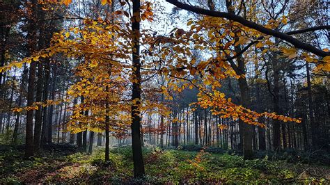 Introduction To Life Cycle Assessment Lca Databases And Background