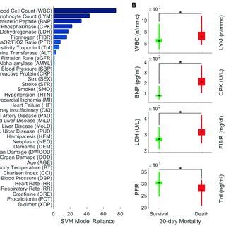 Understanding The Full SVM Model A Model Reliance Of The Full SVM Download Scientific