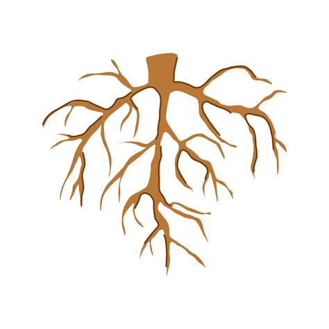 Plant Tree Root Cartoon Illustration Vector Art At Vecteezy