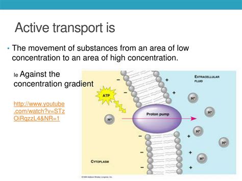 Active Transport